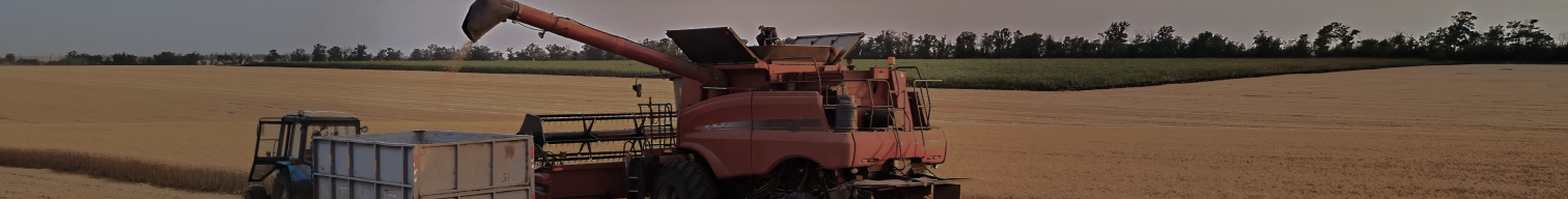 COFCO International Argentina. Agroindustria que suministra alimentos.